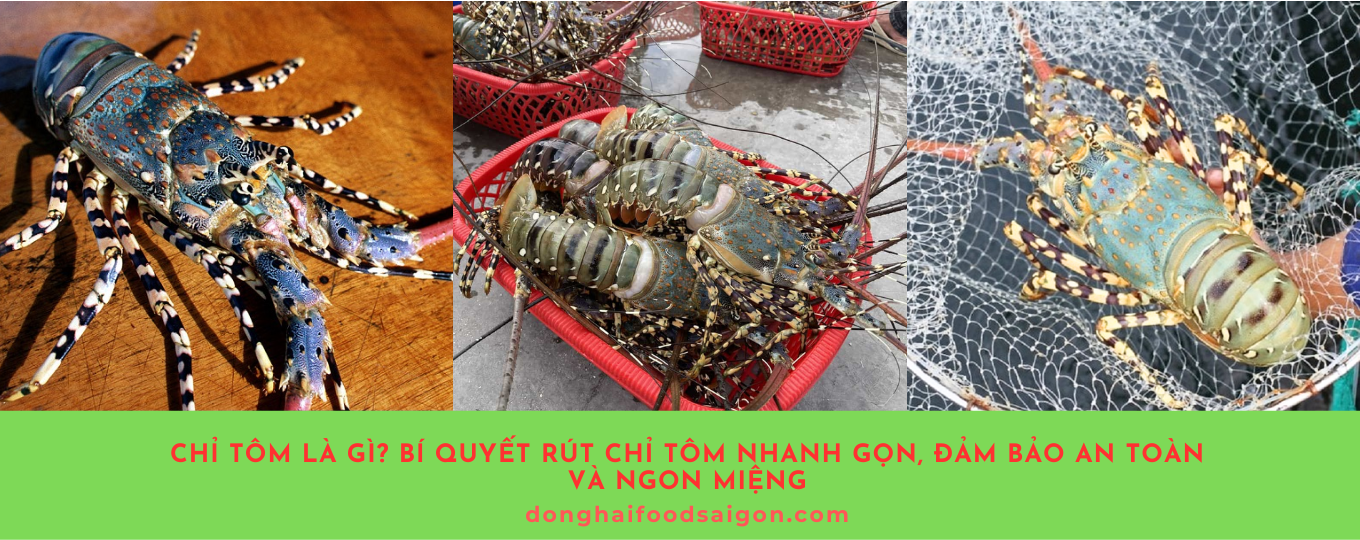 Chỉ Tôm Là Gì? Bí Quyết Rút Chỉ Tôm Nhanh Gọn, Đảm Bảo